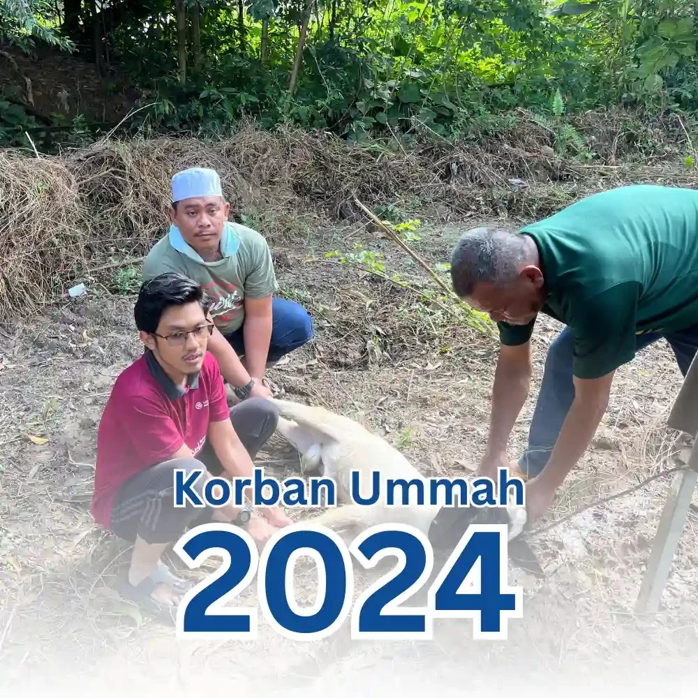 Galeri Korban - Korban Ummah